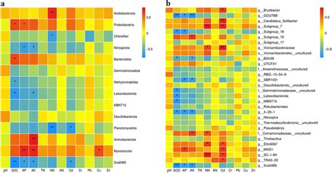 Spearman Correlation Heatmap Of Bacterial Community Compositions At The