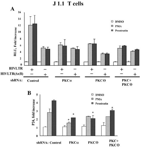 Pkc ␣ And Pkc ␪ Cooperate To Reactivate Hiv Following Pma And