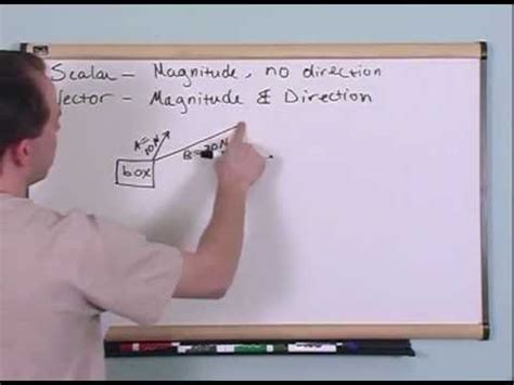 Scalars And Vectors Physics Tutorial YouTube