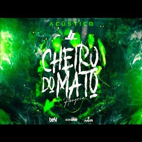 Cheiro De Mato Hungria 2020 Rap Hip Hop Sua Música