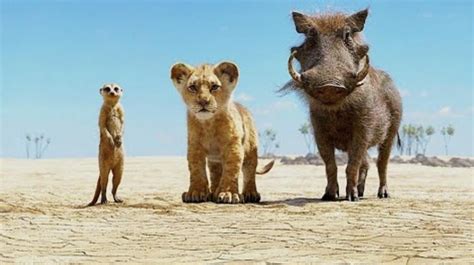Lion King Disney Fail