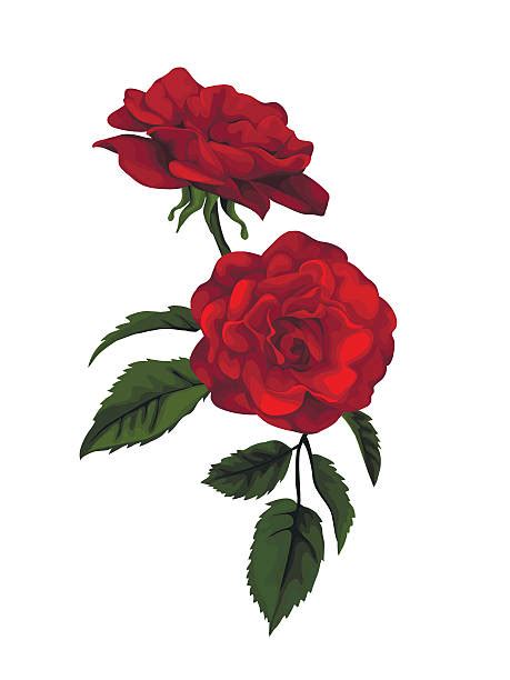 Red Rose Bud Clip Art Illustrations Royalty Free Vector Graphics