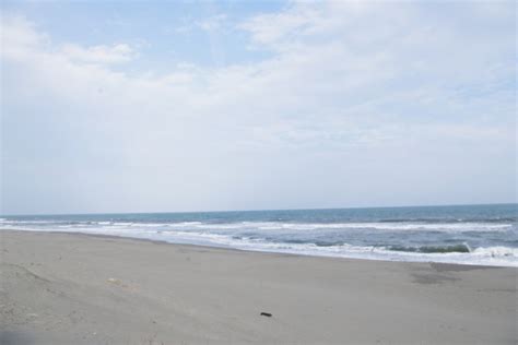 富田浜 宮崎県新富町のおすすめ観光情報サイト