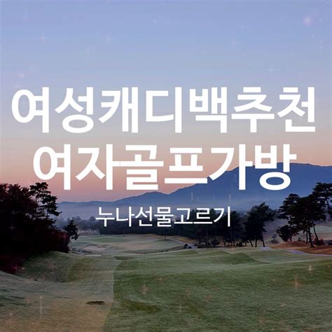 여성 캐디백바퀴형 스탠드형 경량 추천 Feat 여자골프 백 추천 리스트 네이버 블로그