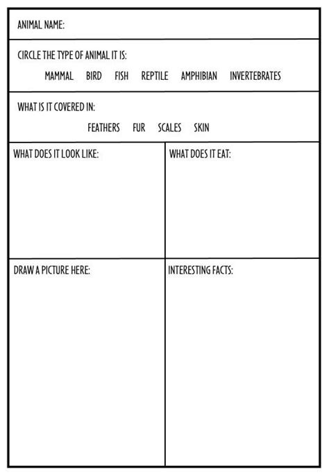 Toys Toys And Games Learning And School Classifying Animals Research