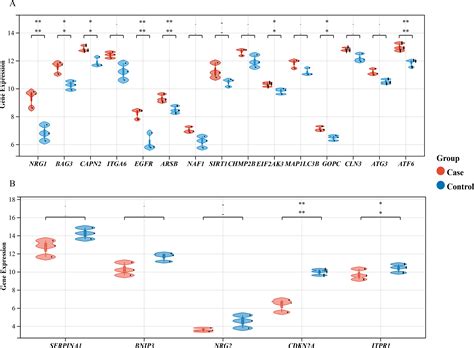 Identification And Validation Of Autophagy Related Genes In