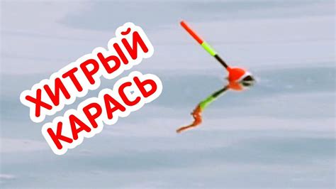 РЫБАЛКА КЛЁВ ХИТРОГО КАРАСЯ крупным планом на ПОПЛАВОК Youtube