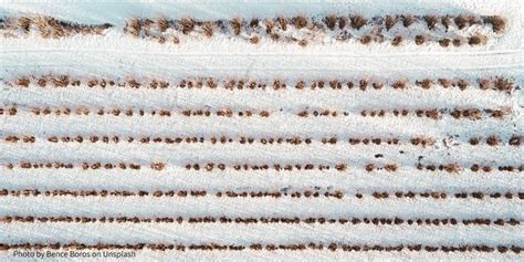 Parallel Programming In Python EScience Center