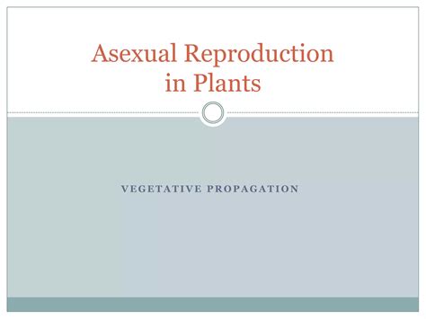 Asexual Reproduction Of A Flowering Plant Pptx