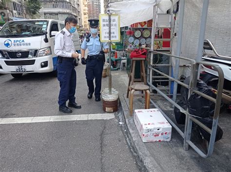 極過份！長沙灣一鴿被塗滿膠水虐待 急尋目擊者 香港動物報 Hong Kong Animal Post