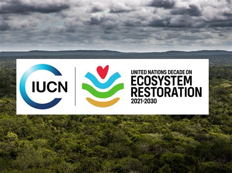 Grebes Status Survey And Conservation Action Plan Resource Iucn