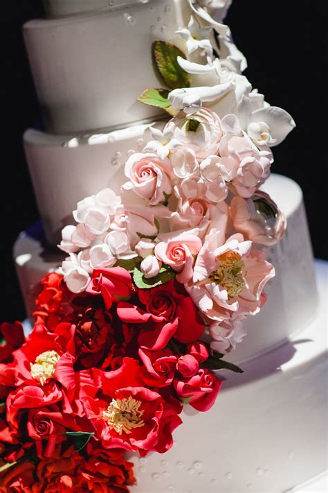 Los Cabos Wedding From Parker J Pfister Photography Artofit