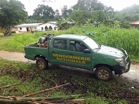 Gendarmerie arrête un redoutable gang de braqueurs dans cinq villes