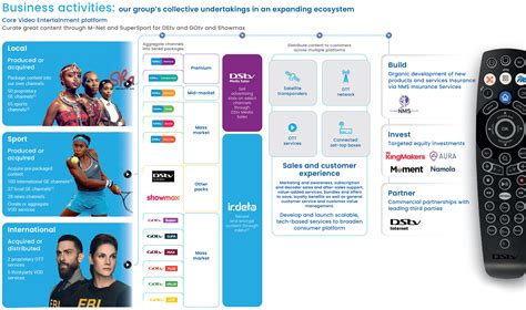 Business Model The Multichoice Group