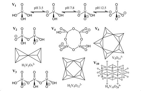 Representation Of Common Vanadium Polyoxometalates In Aqueous