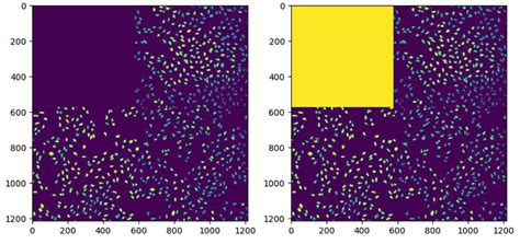 correcting artefact in czi whole slide image files image analysis