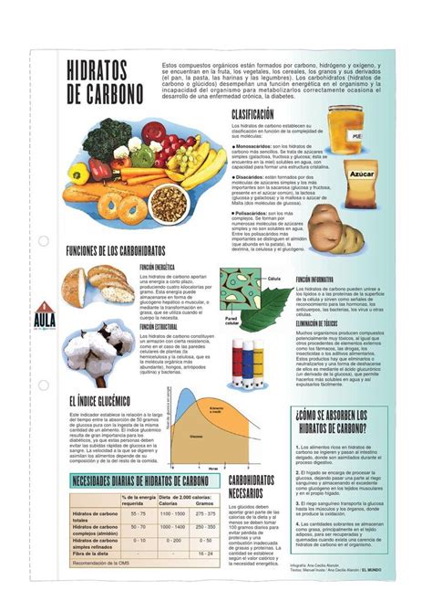 Infografia De Carbohidratos Descargar Pdf 2022 Riset