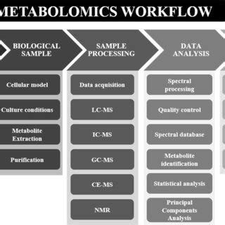 Main Steps In Transcriptomics Workflow Download Scientific Diagram
