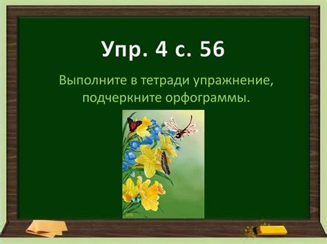 Правописание сочетаний жи ши ча ща чу щу чк чн 1 класс