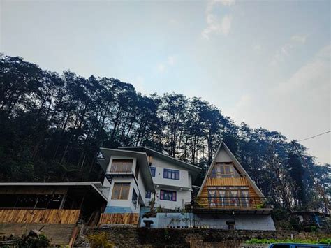 Zangmo Lee Baam Opiniones Y Comparación De Precios 2025