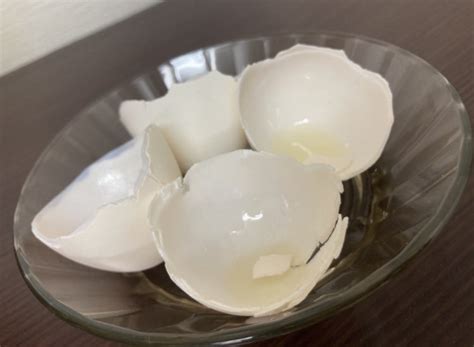 割れた生卵に反響 食品サンプル会社の 遊び心”作品が衝撃的｜infoseekニュース