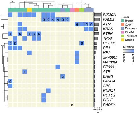 Somatic Mutations And Loh Identified By Ngs Heatmap Of Next Generation Download Scientific