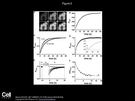 Volume 67 Issue 6 Pages September 2010 Ppt Download