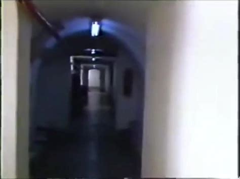 Brazil Interrogation Extract