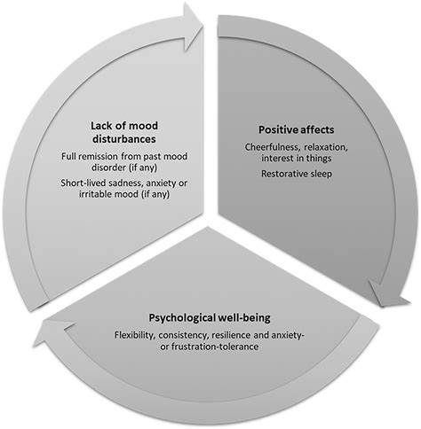 The Pursuit Of Euthymia Fava 2020 World Psychiatry Wiley Online Library