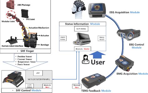 The Embedded System Include Eeg Acquisition Eeg Control Emg
