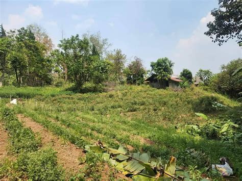 ขายที่สวนโป่งแยงในบ้านบวกเต๋ยเอกสารสิทธิ์ สค 1 ราคาถูก ที่ดินร้อยแปด คอม