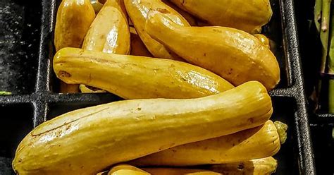 Squash Album On Imgur Squash Album On Imgur