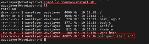how to install openvpn on ubuntu 22 04 wave layer blog