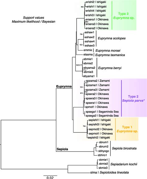 Maximum Likelihood And Bayesian Tree Based On 452 Orthologous Genes