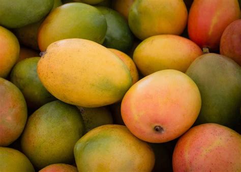 On Décimas Vivan los mangos OnCubaNews