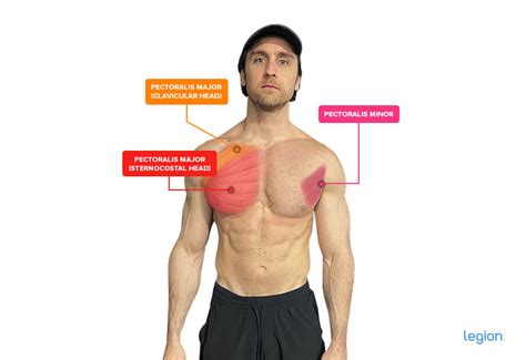 The Best Chest And Shoulder Workout Routine For Mass