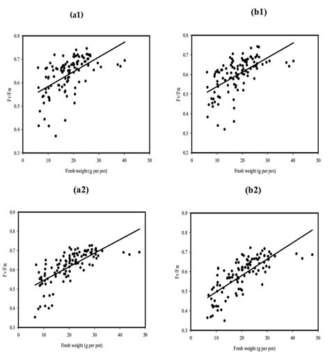 Linear Regression Of The Maximum Quantum Photosystem Ii Fv Fm On Download Scientific Diagram