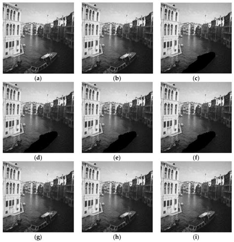 Tamper Detection And Recovery Performance For Image Deletion Attack