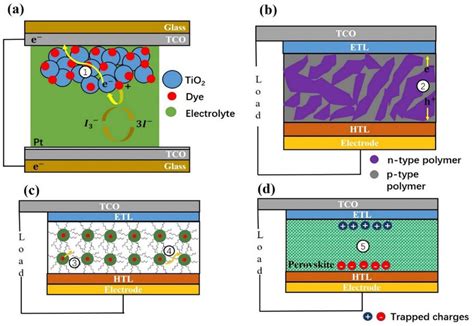 Schematic Representation Of Operation In A Dsscs B Polymer C Qd Download Scientific