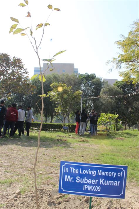 Tree Plantation At Noida Campus Newsroom Iiml Alumni Network