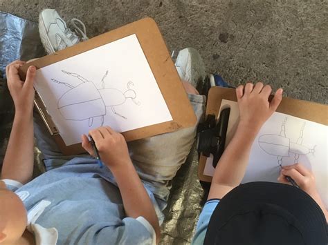 New Science Syllabus 2024 Stage Es1 Bournda Environmental