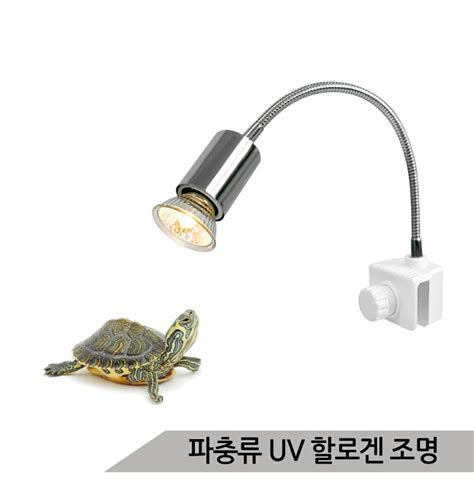 파충류 램프 Uv램프 할로겐 거북이 히팅램프 Ds Wg400 티몬