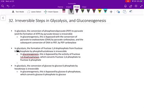 Solved How Are The Irreversible Reactions Of Glycolysis Bypassed In Gluconeogenesis