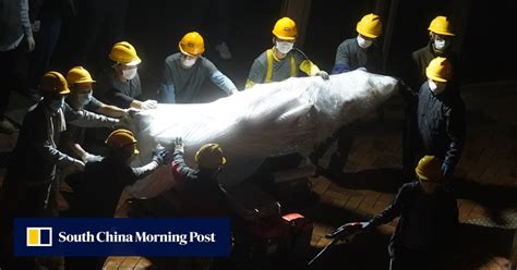Hong Kong National Security Police Seize ‘pillar Of Shame Statue In Connection With Subversion