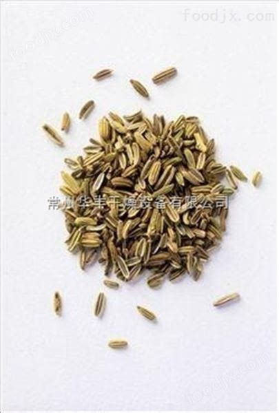 茴香网带式烘干设备图片 茴香网带式烘干设备图片大全 食品机械设备网