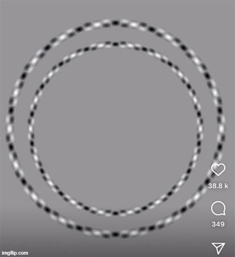 How Many Circles Do You See Imgflip