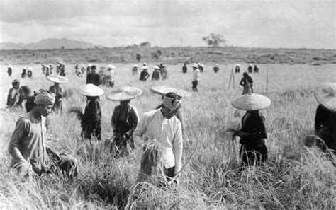 Nông Nghiệp Thống Kê Từng Thuộc Ngành Công Thương