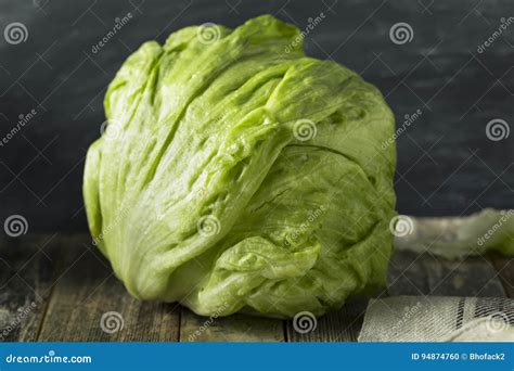 Raw Organic Round Crisp Iceberg Lettuce Stock Photo Image Of Round