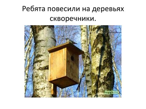 Сезонные изменения в природе Весна презентация онлайн