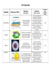Ap Bio Cell Organelles Chartdocx Cell Organelles Organelle Drawing